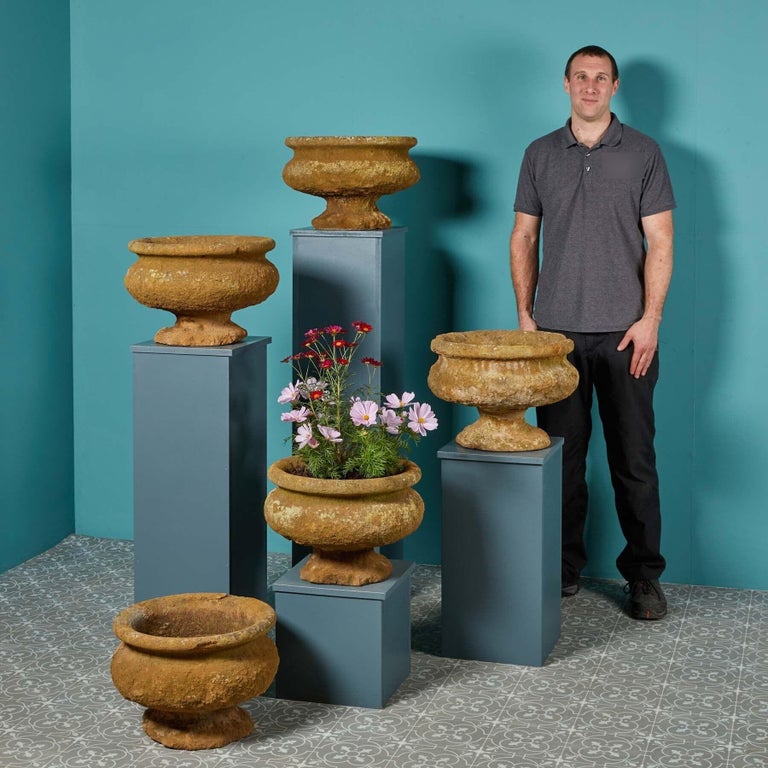 Five Antique Limestone Planters For Sale at 1stDibs