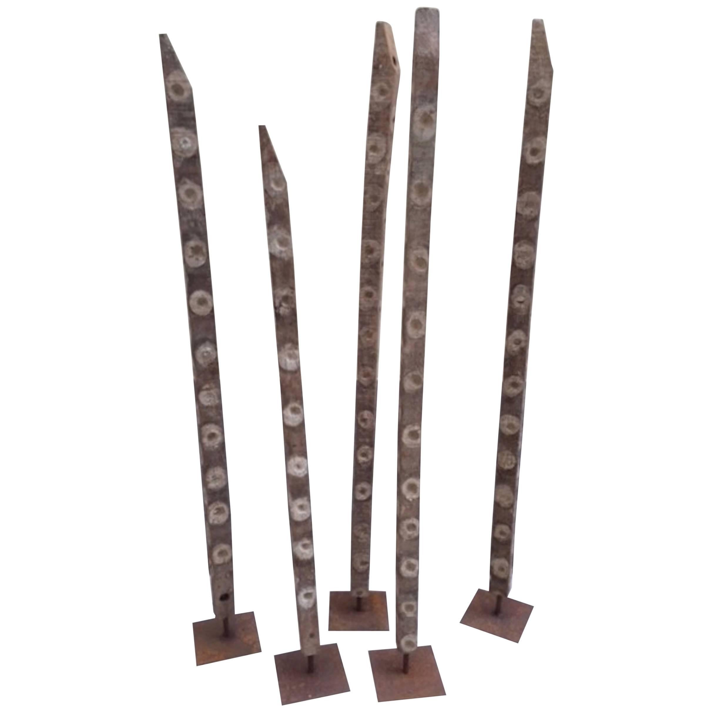 Five Vintage "Oyster Sticks" Mounted on Metal Stands For Sale at 1stDibs