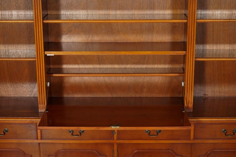 FLAMED YEW WOOD BRADLEY ENGLAND BANK LiBRARY BOOKCASE CUPBOARD WITH ...
