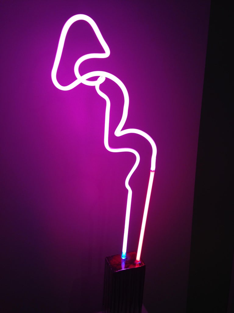 ‘Flamingo’ Neon Lamp in Hot Pink and Ruby Red Neon Glass, Handmade ...