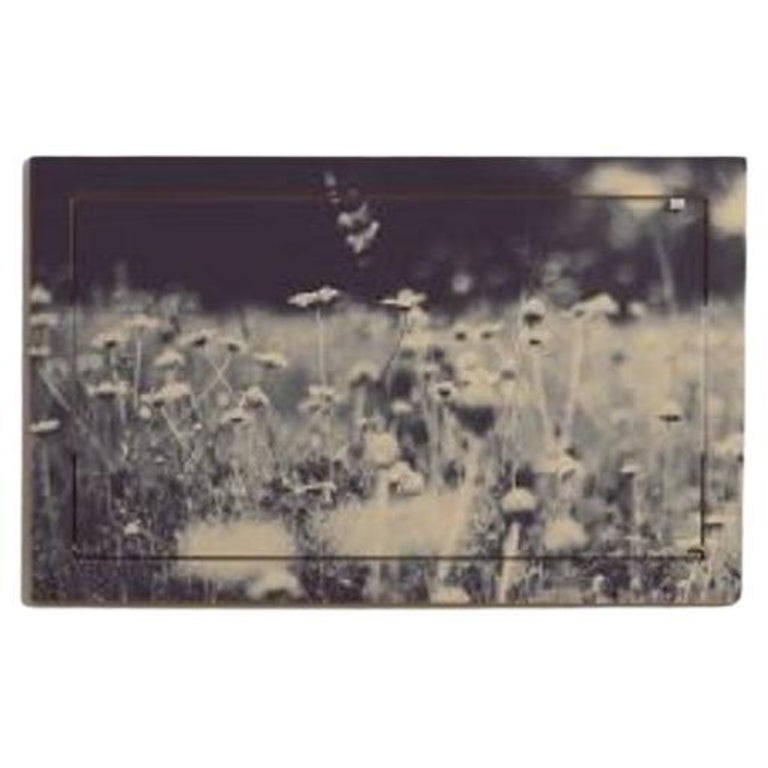 Fläpps Wall Desk / Secretary Wild and Free by Ingrid Beddoes For Sale ...