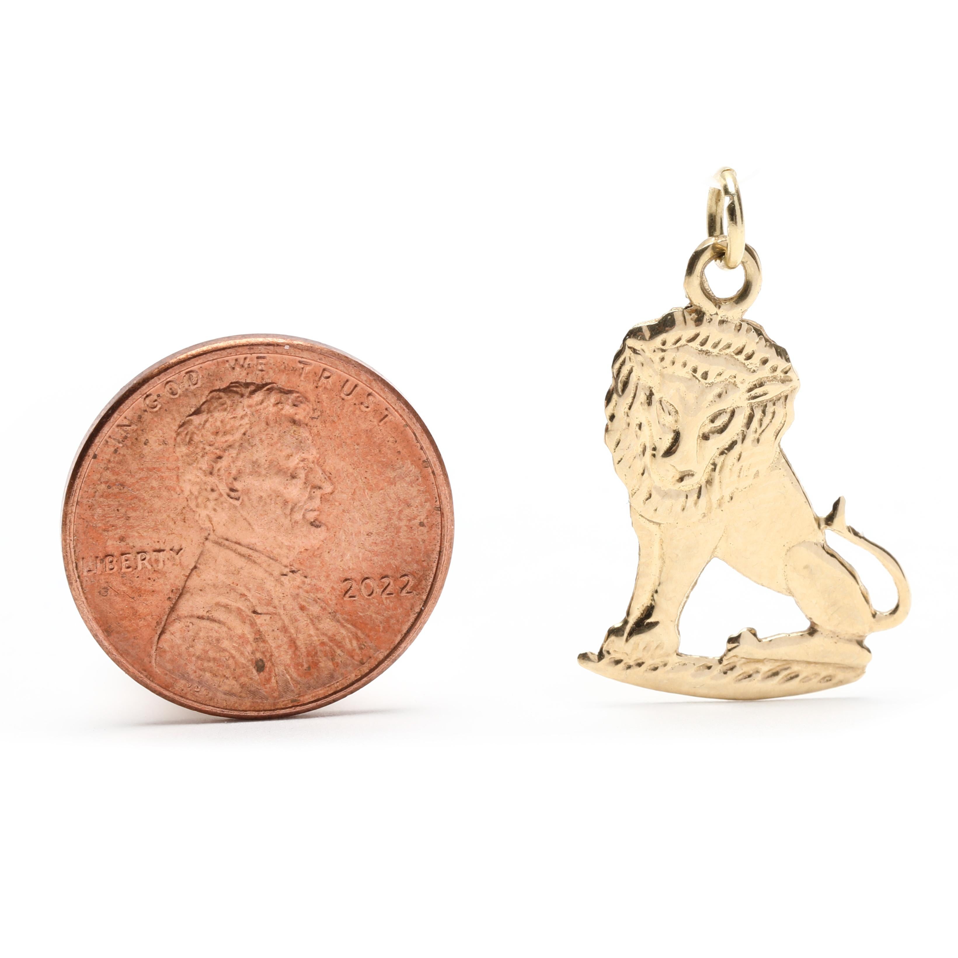 Flat Gold Lion Charm, 14k Yellow Gold, Engraved Lion Charm, Small at ...