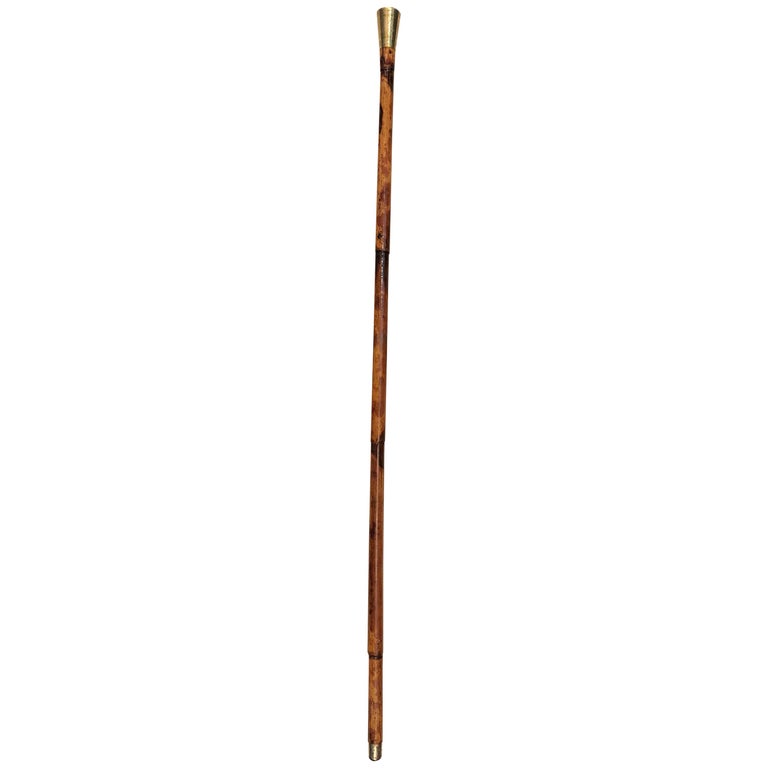 Flicker Dagger Walking Stick Cane For Sale at 1stDibs