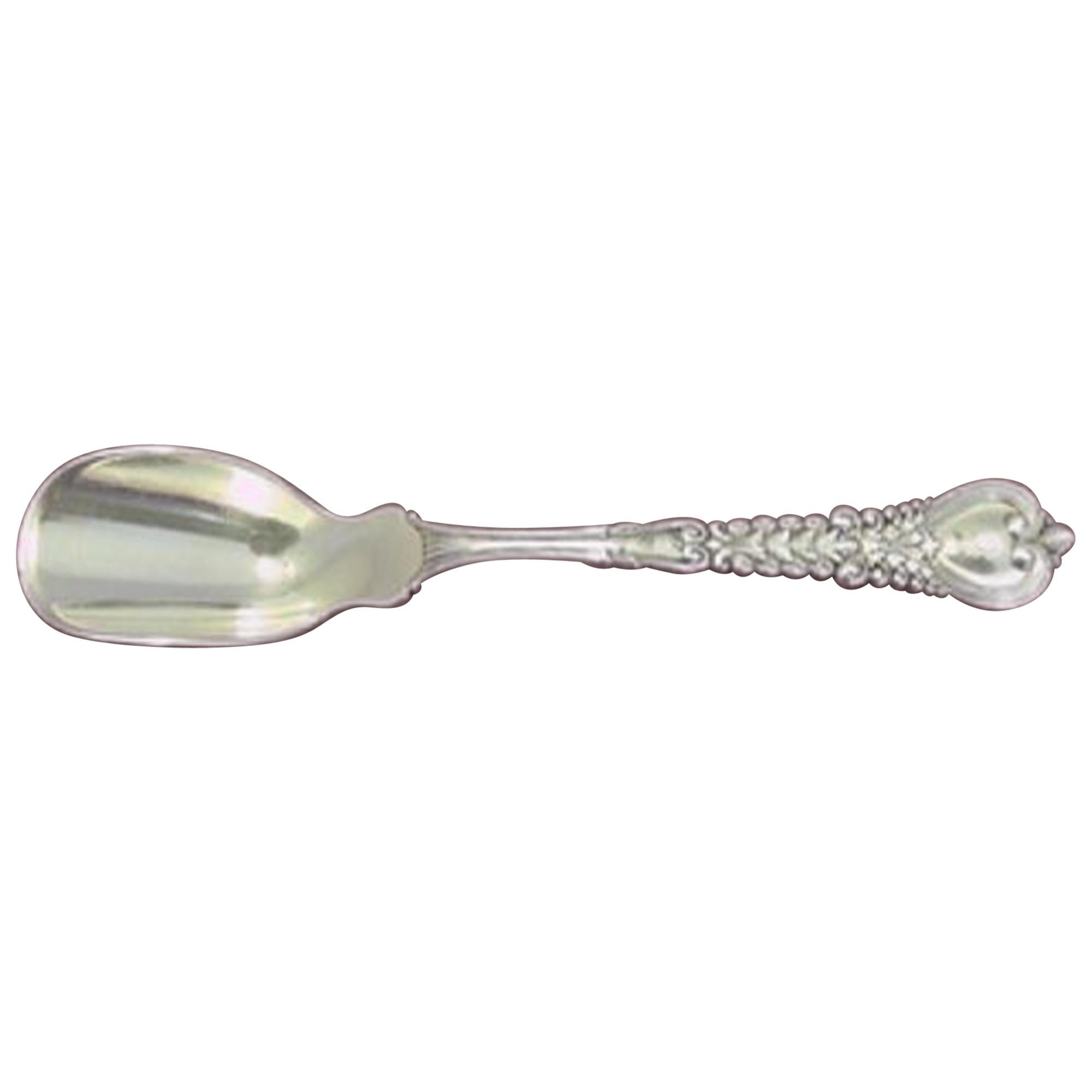 Persian by Tiffany and Co. Sterling Silver Cheese Scoop Large For Sale ...