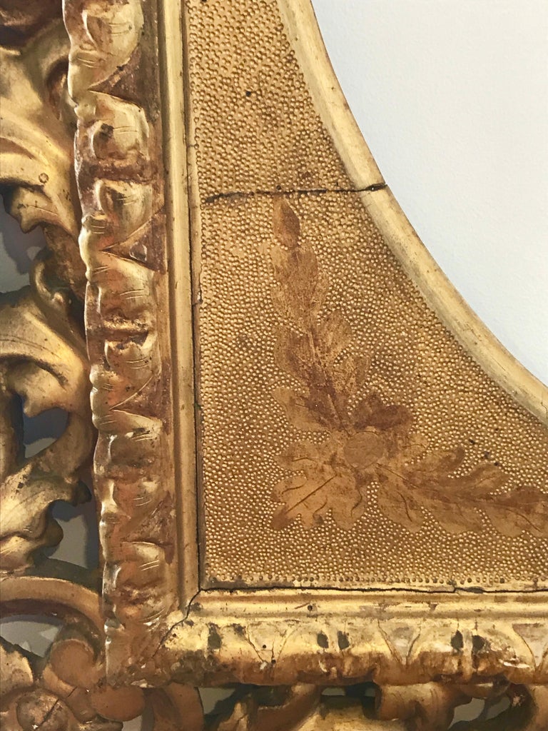 Florentine Style Italian Carved Frame in Gold with Leafs and Shells ...
