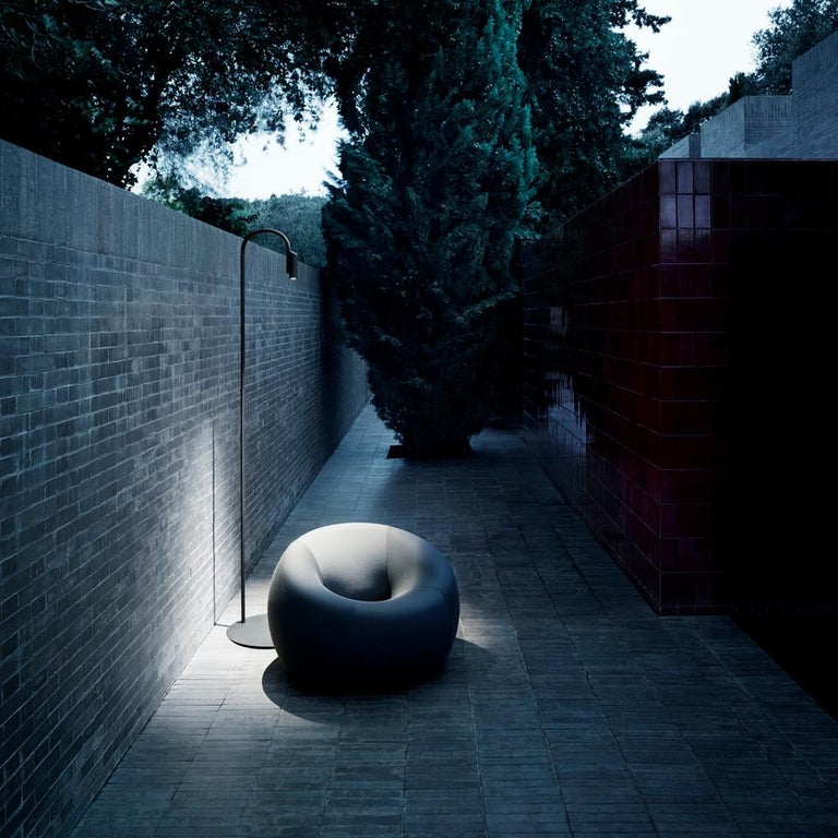 Flos Caule 2700K Model 2 Outdoor Floor Lamp in Anthracite with Regular ...