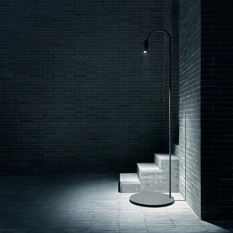 Flos Caule 2700K Model 3 Outdoor Floor Lamp in Black with Regular Shade ...