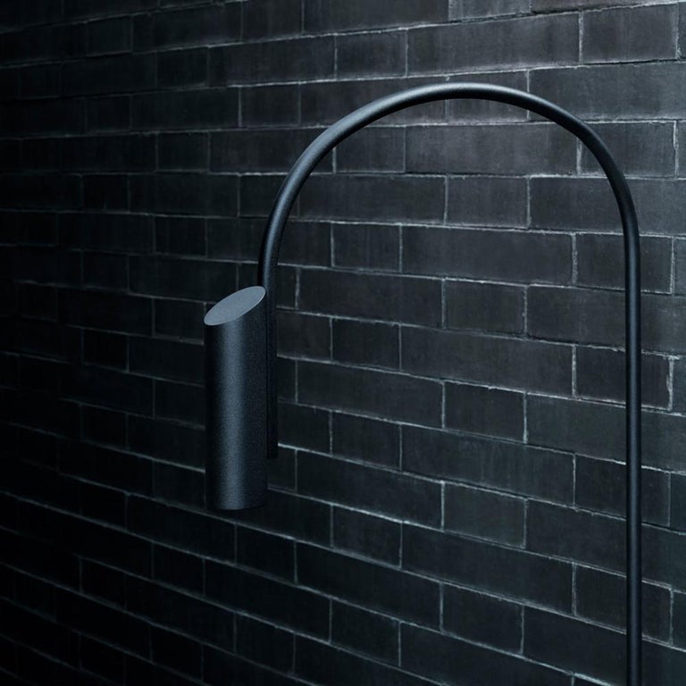 Flos Caule 2700K Model 3 Outdoor Floor Lamp in Black with Regular Shade ...