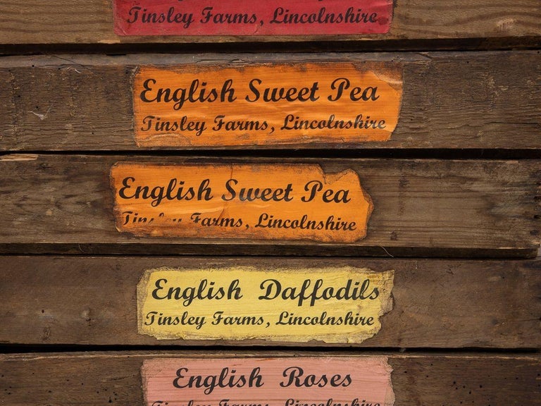 Flower Boxes For Sale at 1stDibs