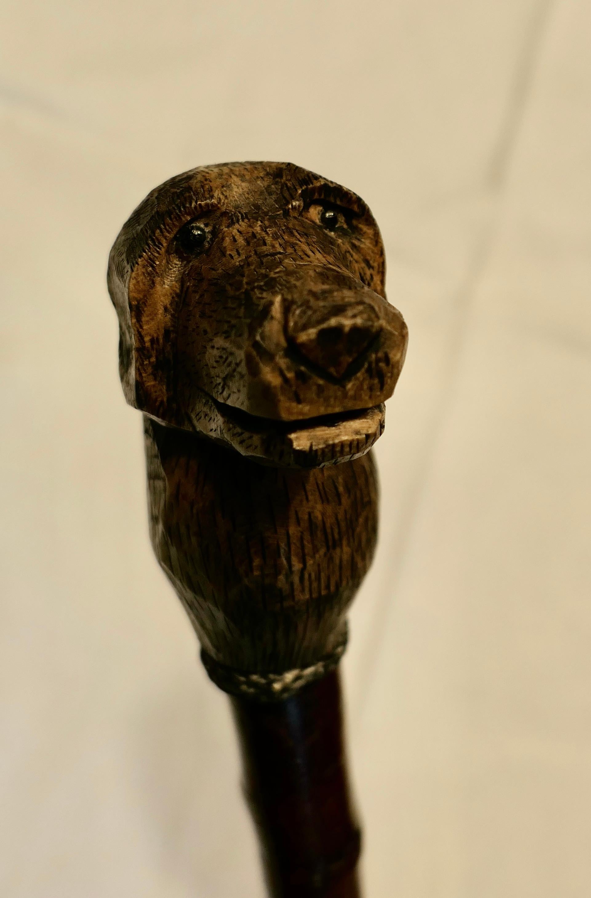 Folk Art Carved Dog Head Walking Stick Good Cherry Wood Walking Stick ...
