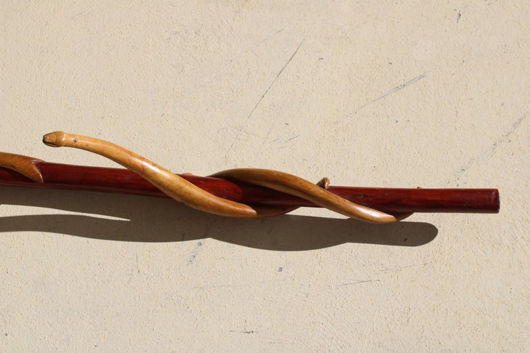 Folk Art Carved Walking Cane, Snakes and Fish For Sale at 1stDibs