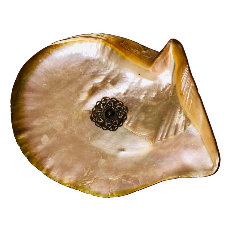 Footed Shell Platter For Sale at 1stDibs