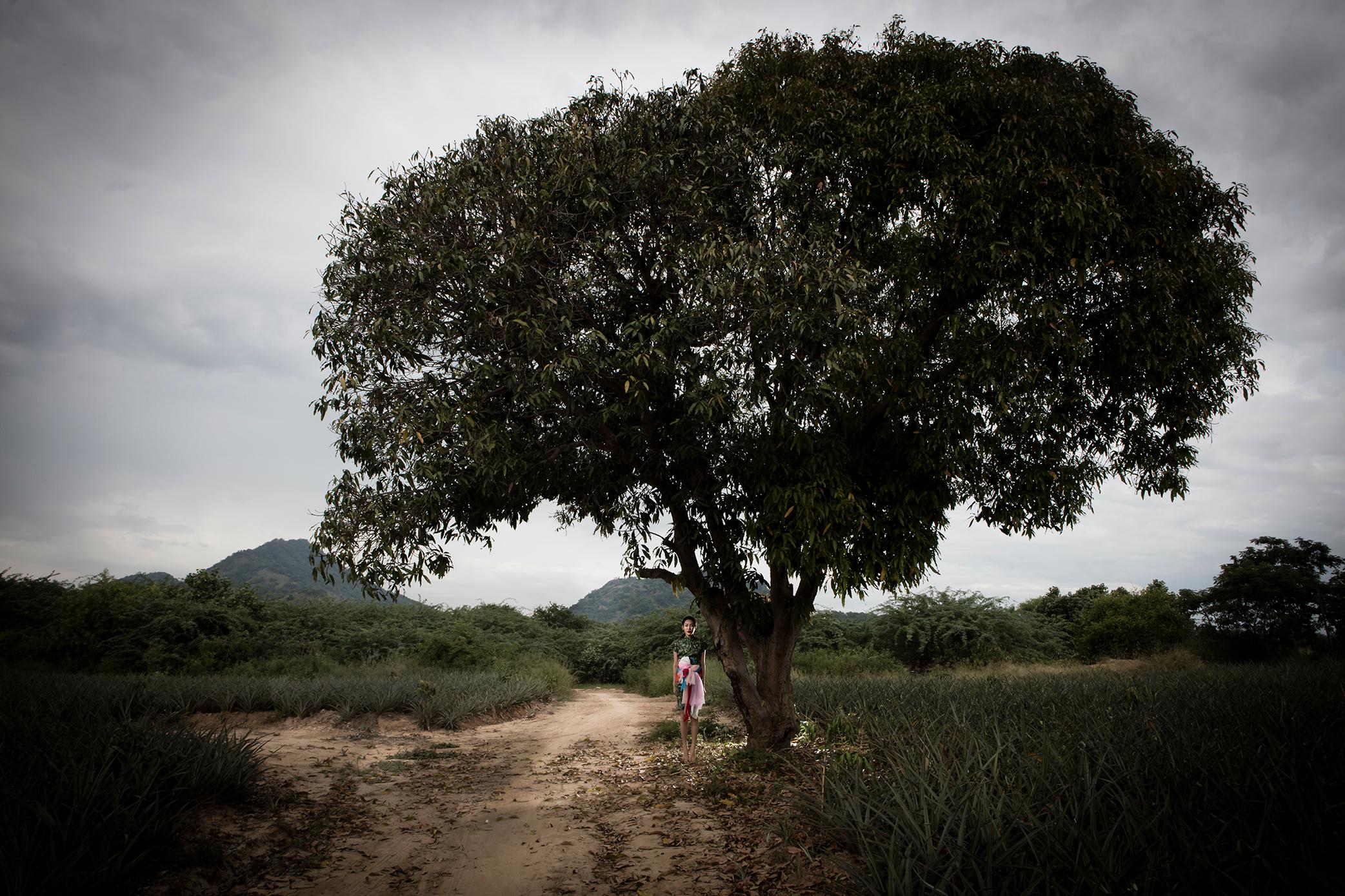 Formento & Formento - THE SACRIFICE OF YUKI (40" x 60") For Sale at 1stDibs