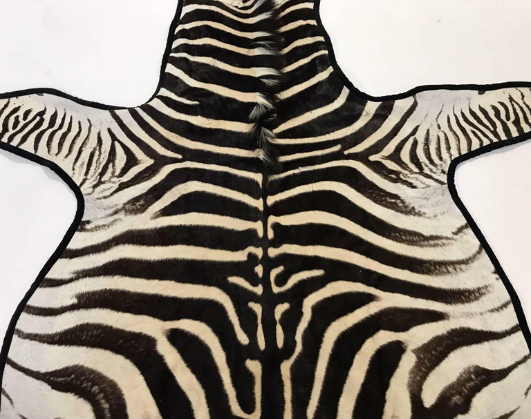 Forsyth Zebra Hide Rug Trimmed in Black Velvet For Sale at 1stDibs ...