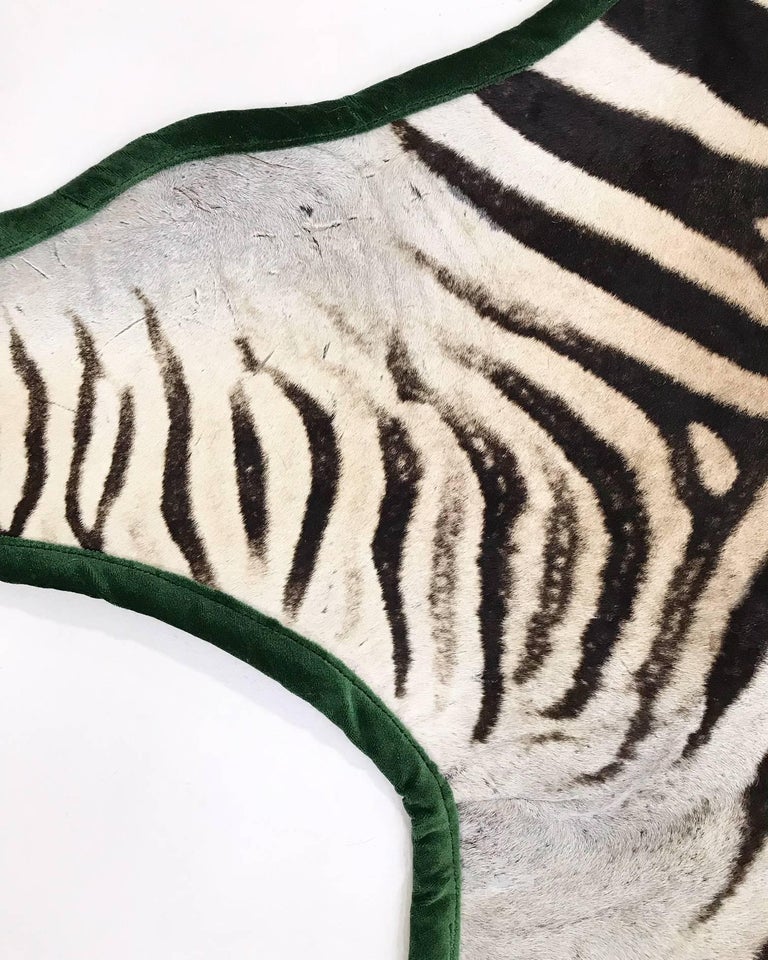 Forsyth Zebra Hide Rug Trimmed in Emerald Green Velvet at 1stDibs