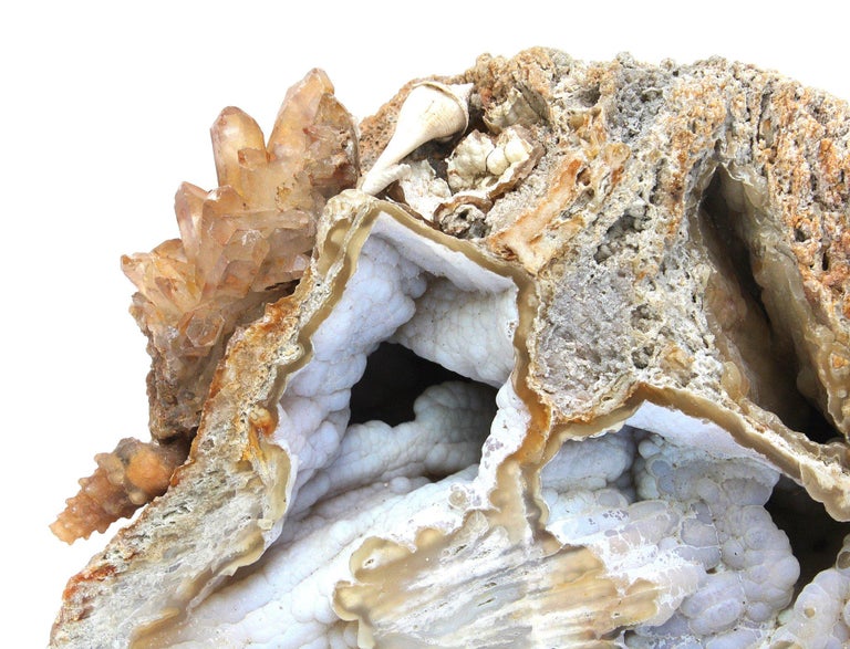 Fossil Agate Coral with a Cluster of Tangerine Quartz Points and Fossil ...