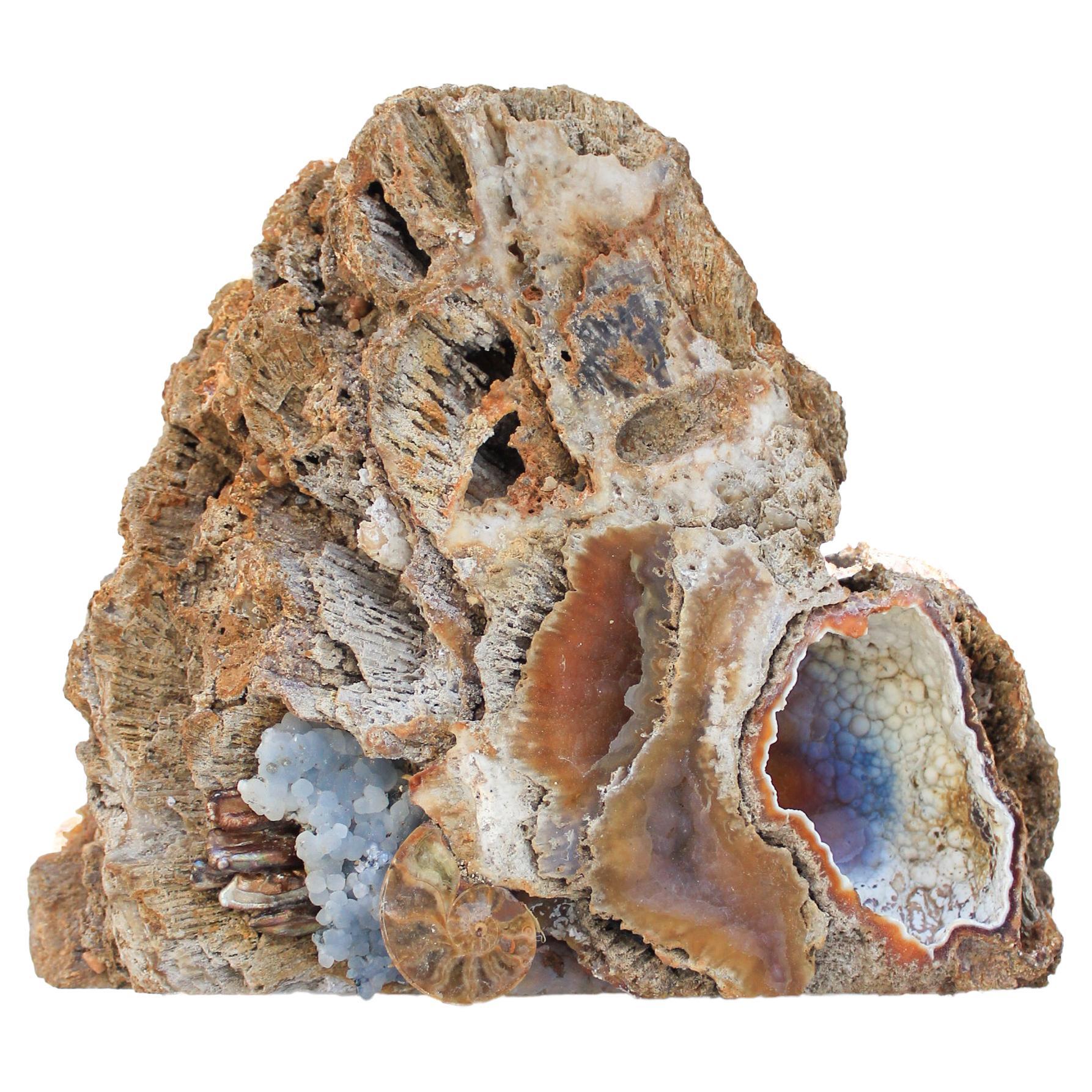 Fossil Agate Coral with a Polished Fossil Ammonite and Baroque Pearls ...