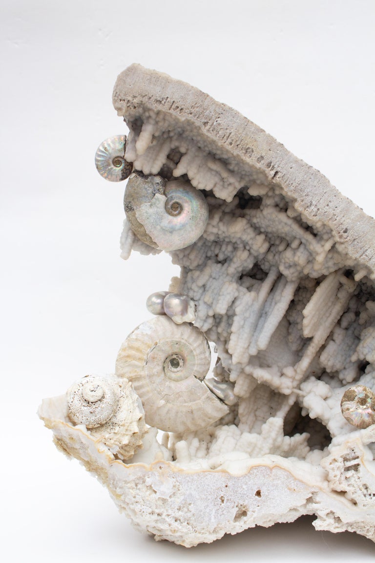 Fossil Agate Coral with Iridescent Ammonites and Baroque Pearls For ...