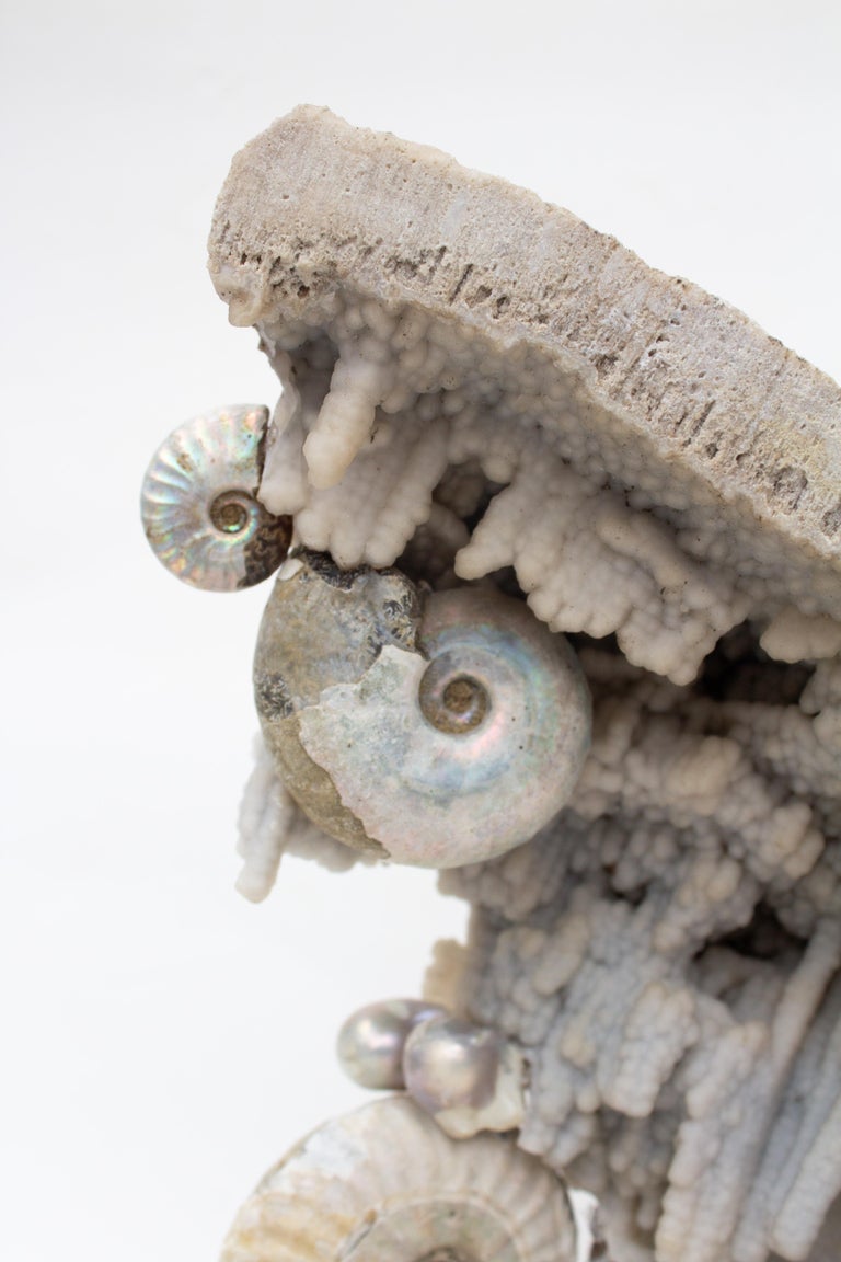 Fossil Agate Coral with Iridescent Ammonites and Baroque Pearls For ...
