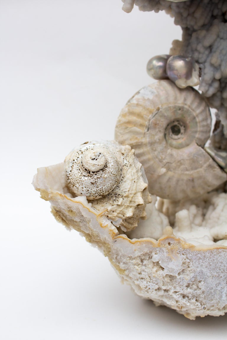 Fossil Agate Coral with Iridescent Ammonites and Baroque Pearls For ...