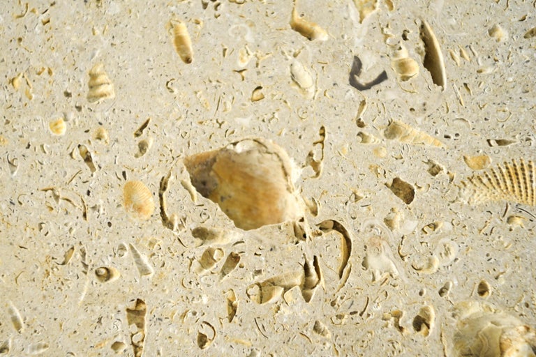 Fossil Embedded Stone and Rebar Table For Sale at 1stDibs