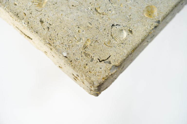 Fossil Embedded Stone and Rebar Table For Sale at 1stDibs