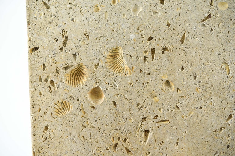 Fossil Embedded Stone and Rebar Table For Sale at 1stDibs