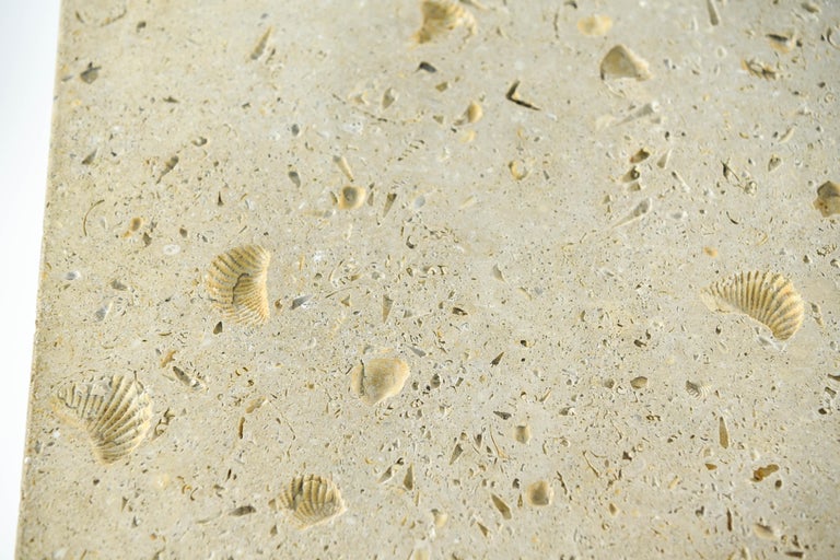 Fossil Embedded Stone and Rebar Table For Sale at 1stDibs