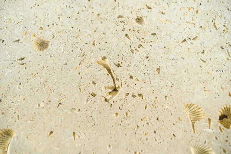 Fossil Embedded Stone and Rebar Table For Sale at 1stDibs