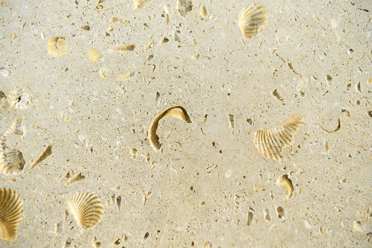 Fossil Embedded Stone and Rebar Table For Sale at 1stDibs