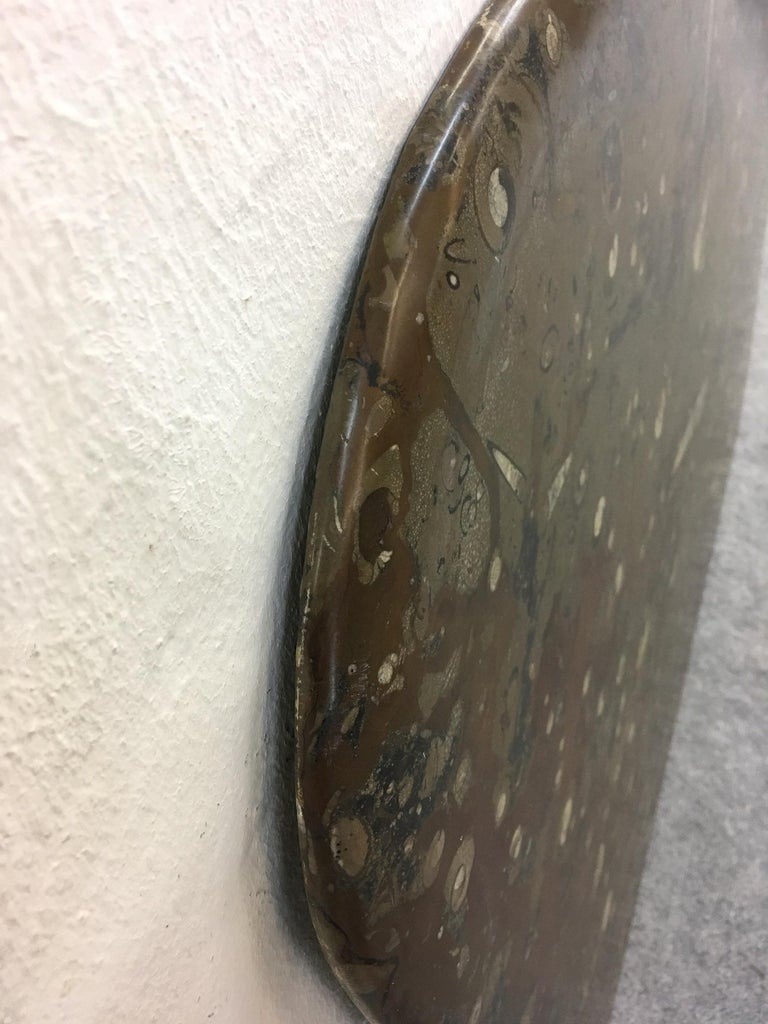 Fossil Stone Marble Table Top with Loads of Ammonities and Squids ...