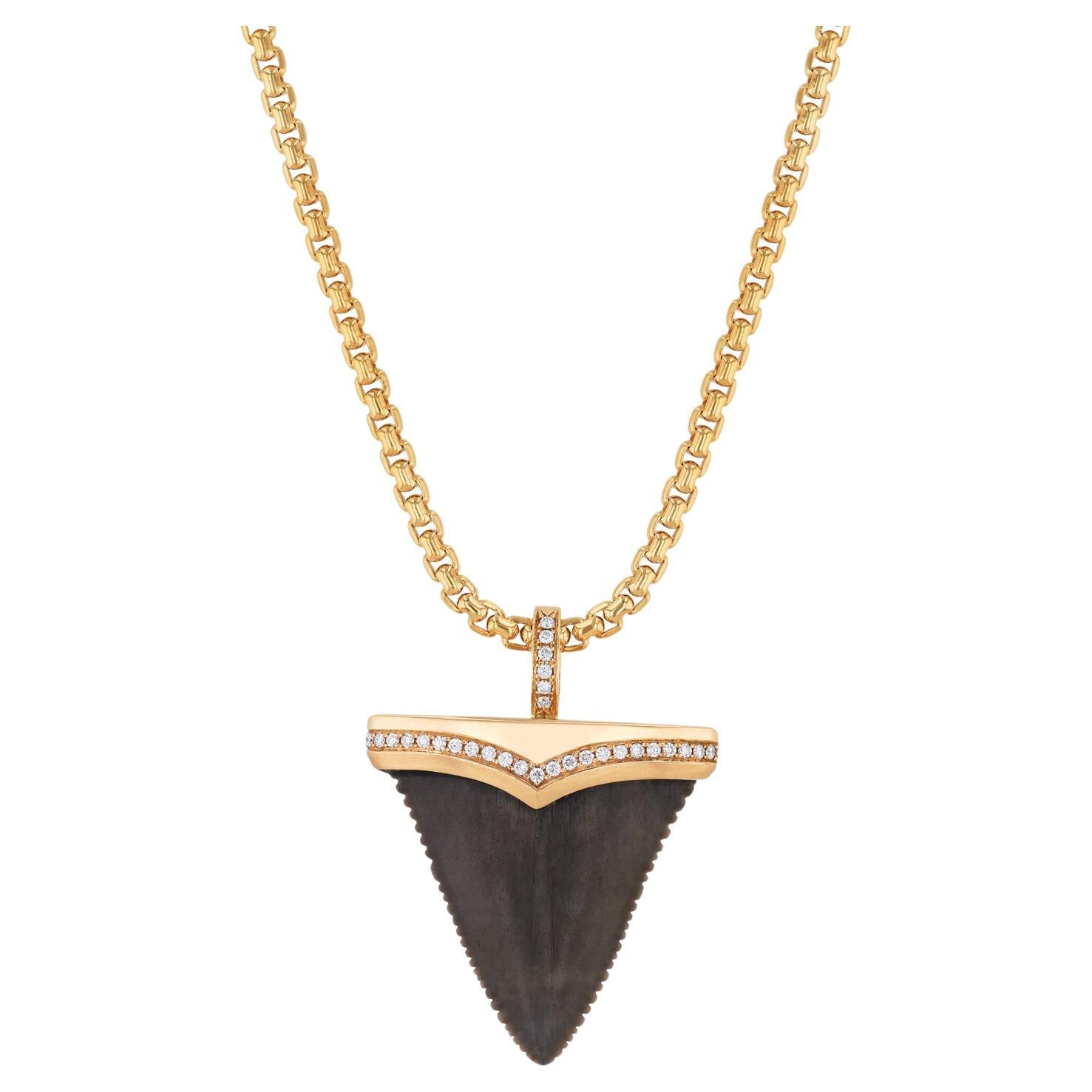 Fossilized Great White Shark Tooth 18kt Yellow Gold Pendant Necklace ...