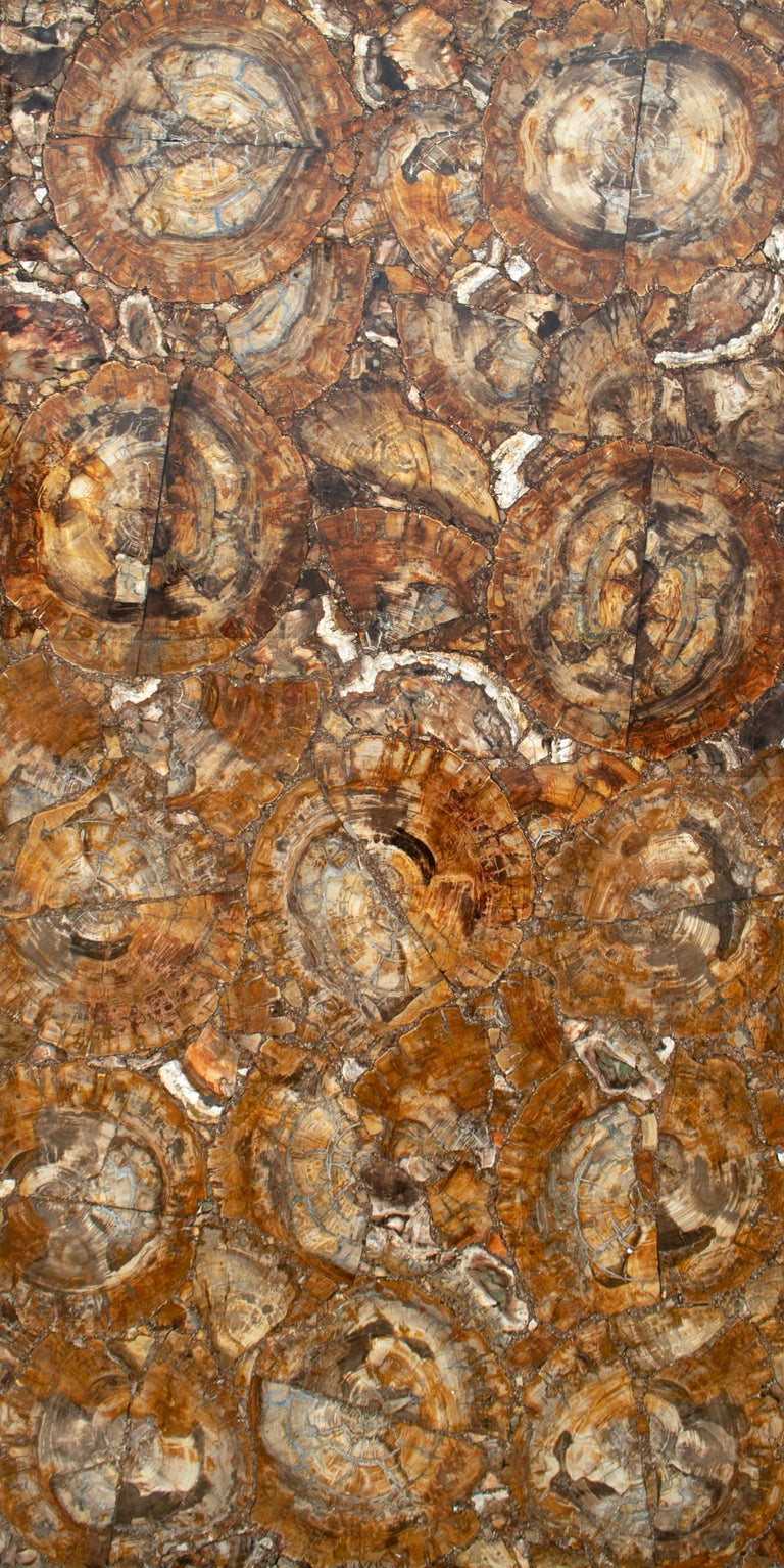 Fossilized Tree Trunk Mosaic Table Top For Sale at 1stDibs | tree trunk ...