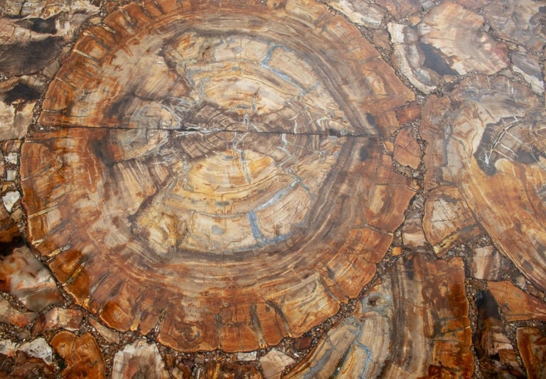 Fossilized Tree Trunk Mosaic Table Top For Sale at 1stDibs | tree trunk ...