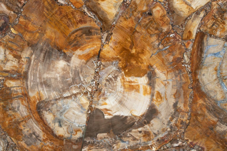Fossilized Tree Trunk Mosaic Table Top For Sale at 1stDibs | tree trunk ...