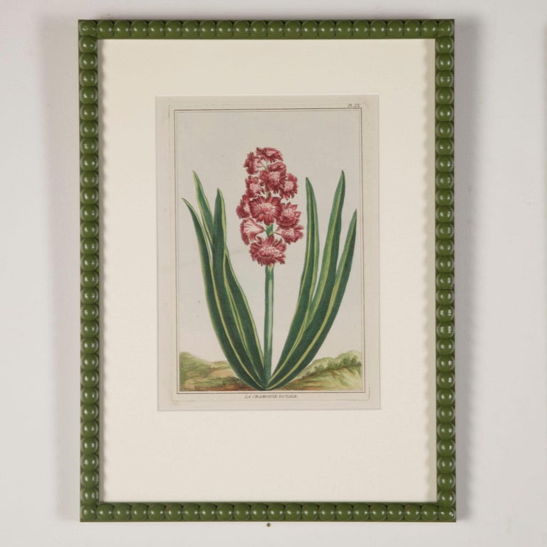 Four 18th Century Botanical Prints by Pierre-Joseph Buc'hoz For Sale at ...