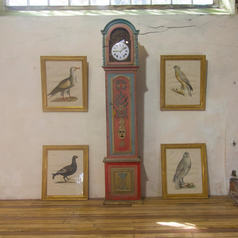 Four 19th Century Lithograph Plate 'The Naturalist Atlas' by H. v. Hirt ...