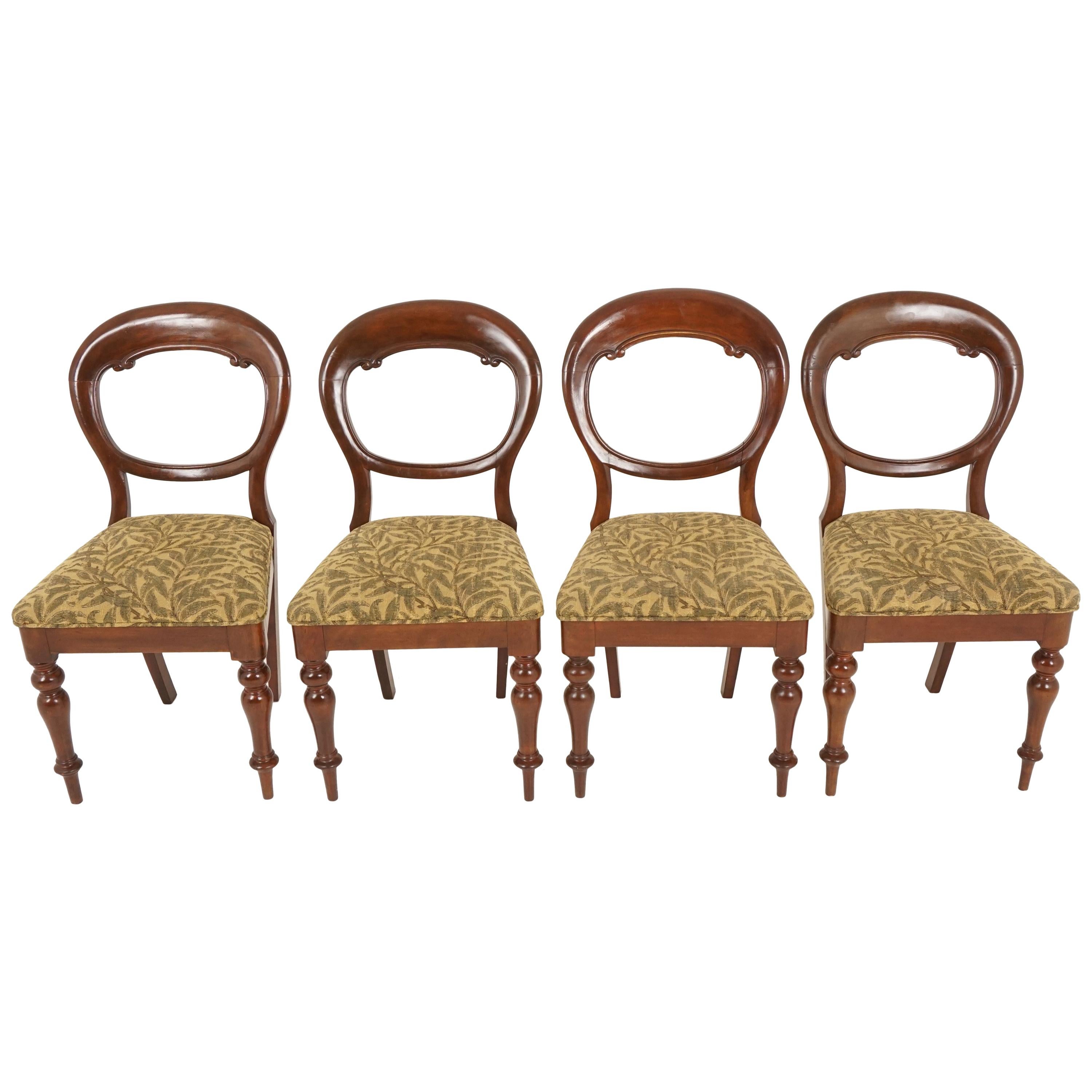 Four Antique Balloon Back Walnut Chairs, Dining Chairs, Scotland 1880 ...