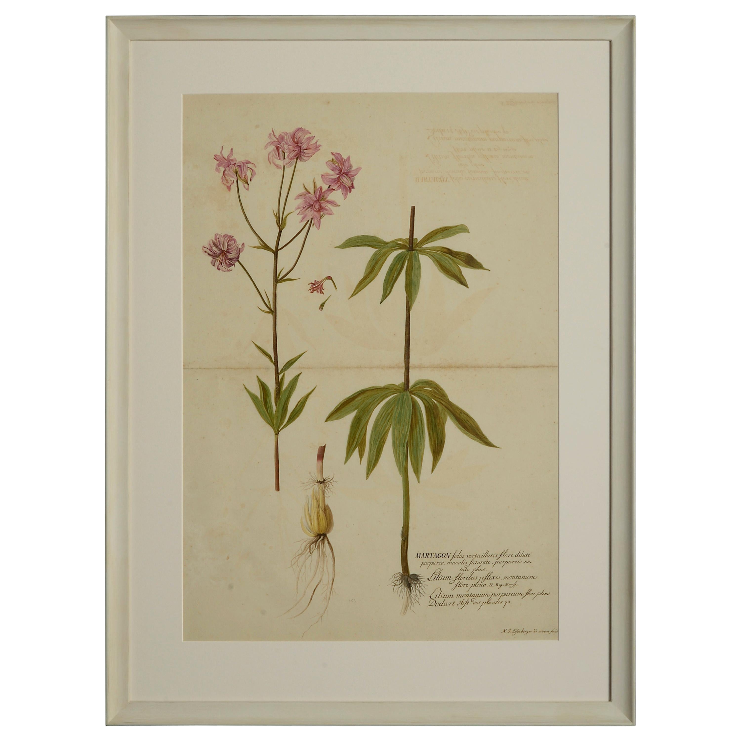 Series of Four William Goodall Watercolor Paintings of Birds, circa ...