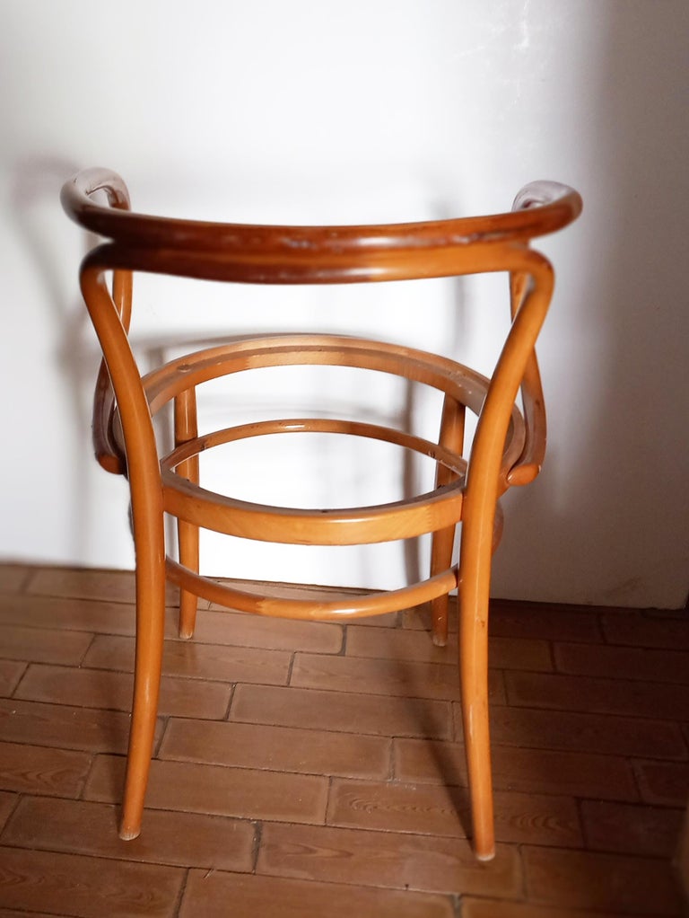 After Thonet 209 Four Chairs or Archairs Natural Bentwood, Midcentury ...