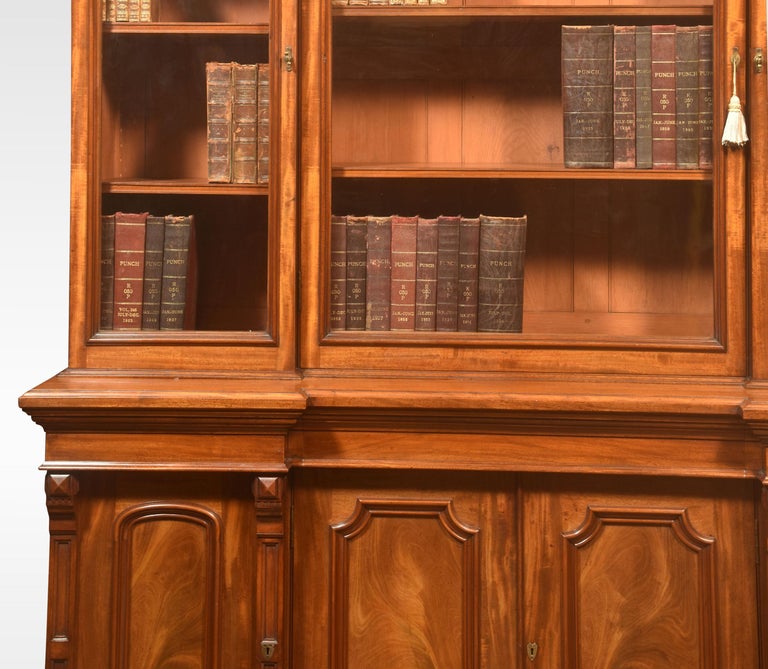 Four Door Breakfront Library Bookcase For Sale at 1stDibs