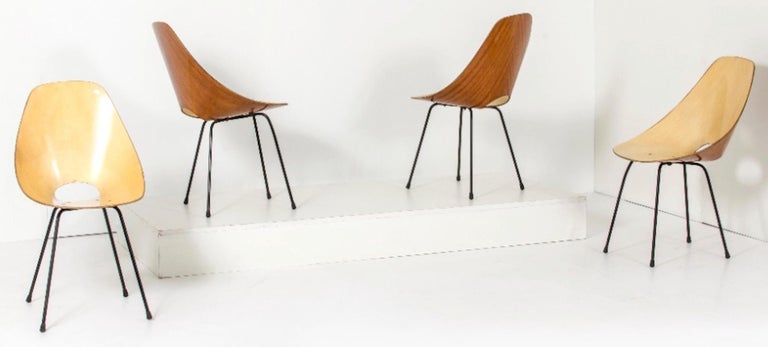Four "Medea" Chairs by Vittorio Nobili, Italy, 1955 For Sale at 1stDibs