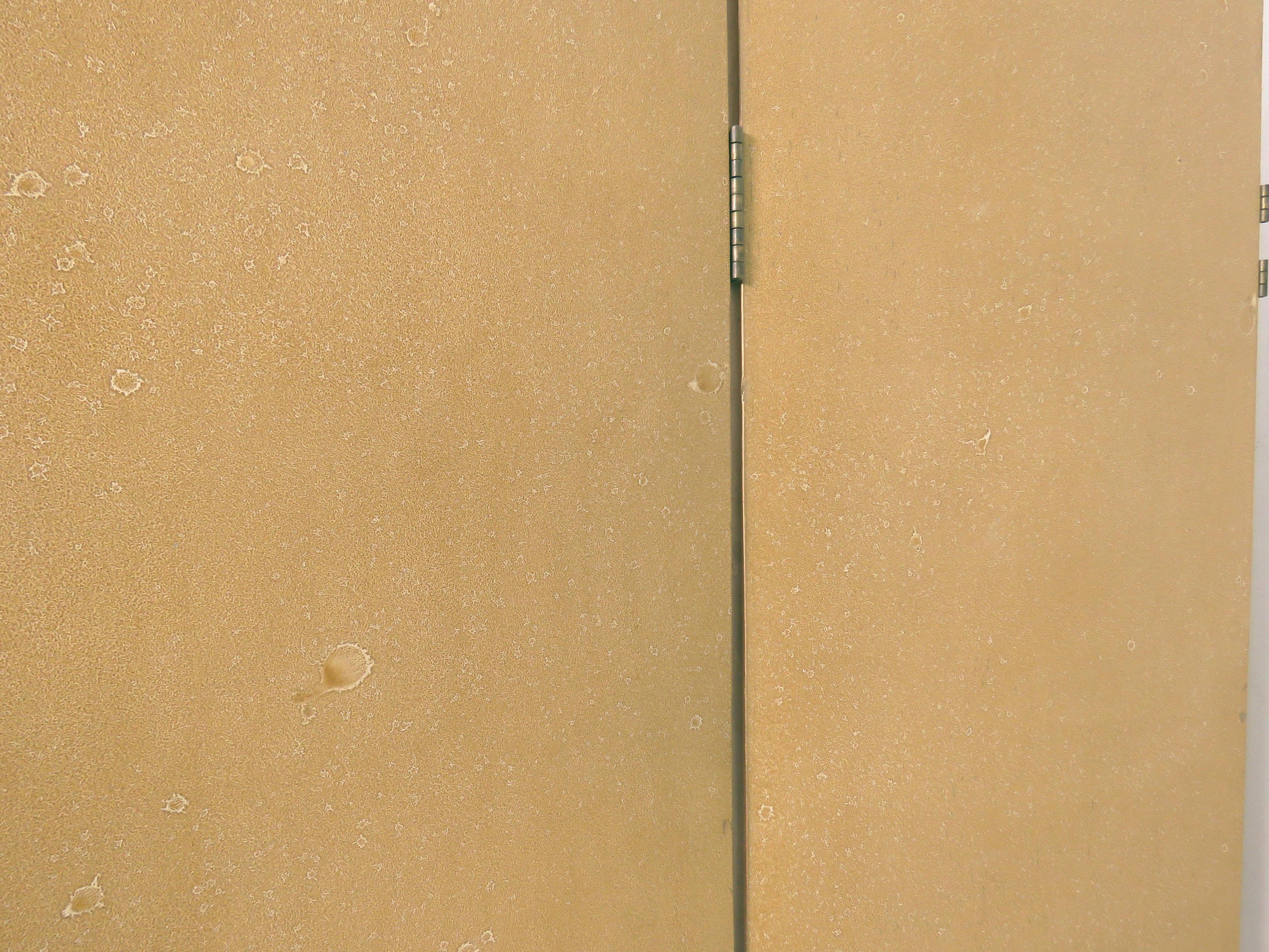 Four-Panel Room Divider Screen Decorated in Manner of Picasso at 1stDibs