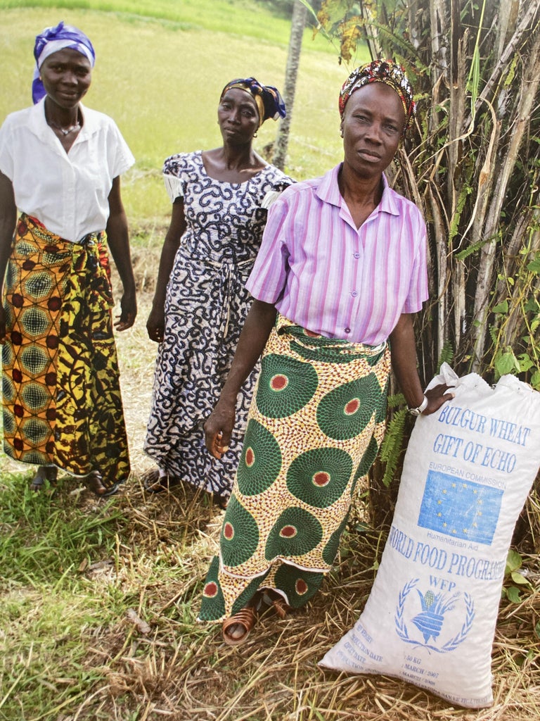 FRAGILE The Human Condition Hardcover Book For Sale at 1stDibs | books ...