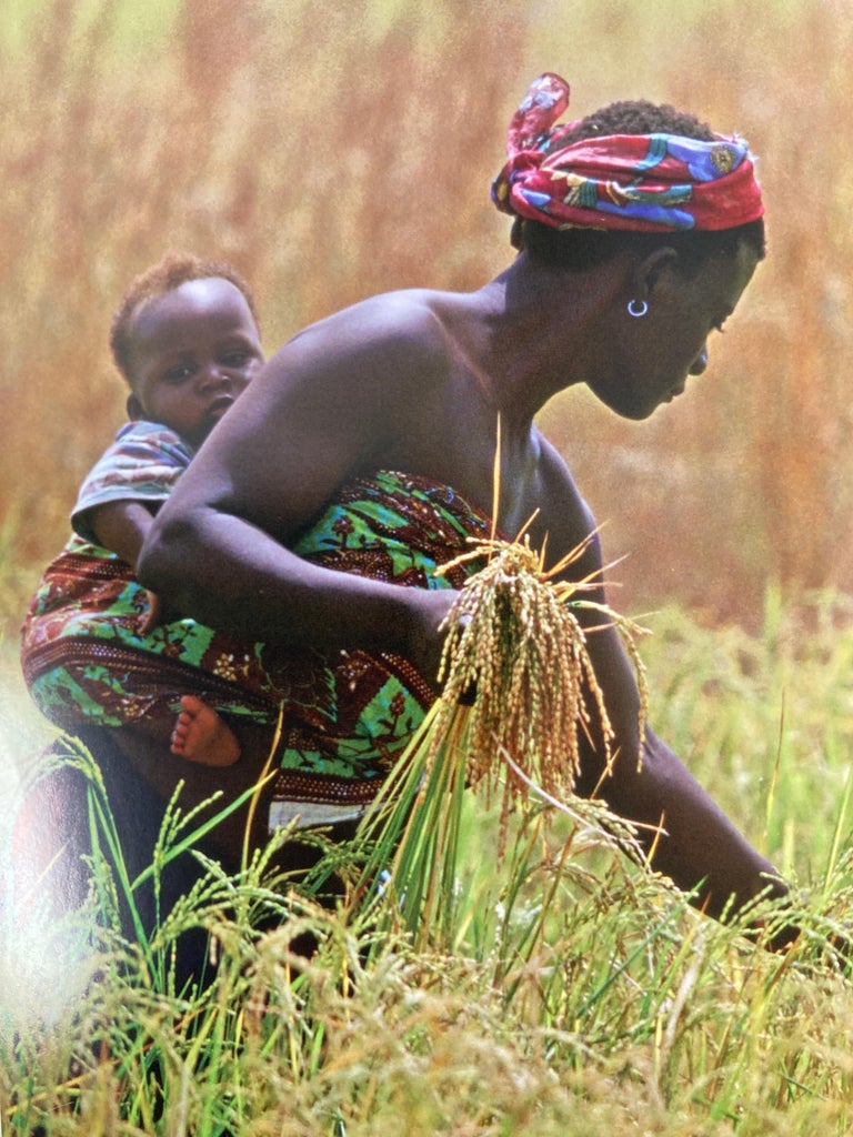 FRAGILE The Human Condition Hardcover Book For Sale at 1stDibs | books ...