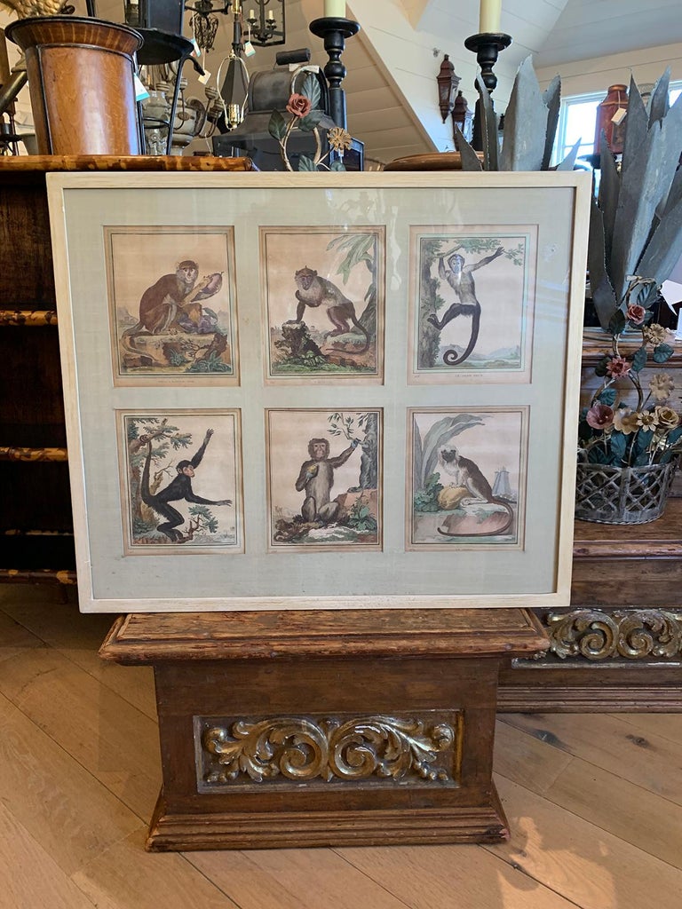 Framed 18th Century French Monkey Engravings by Georges-Louis Leclerc ...