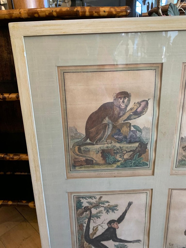 Framed 18th Century French Monkey Engravings by Georges-Louis Leclerc ...