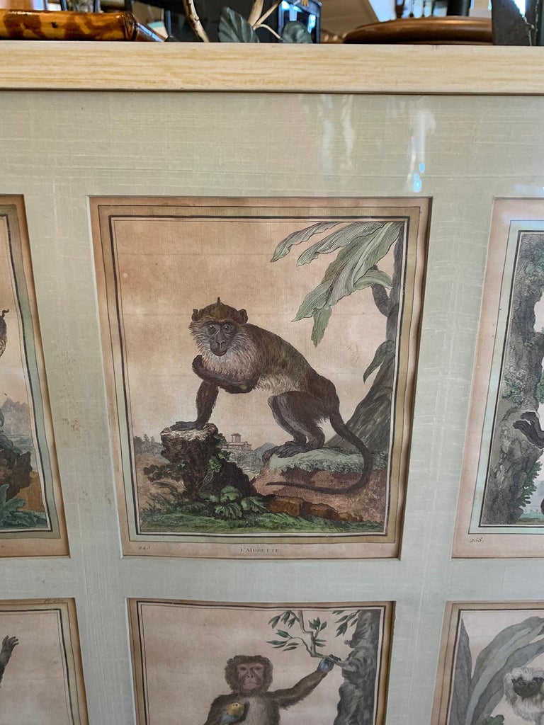 Framed 18th Century French Monkey Engravings by Georges-Louis Leclerc ...