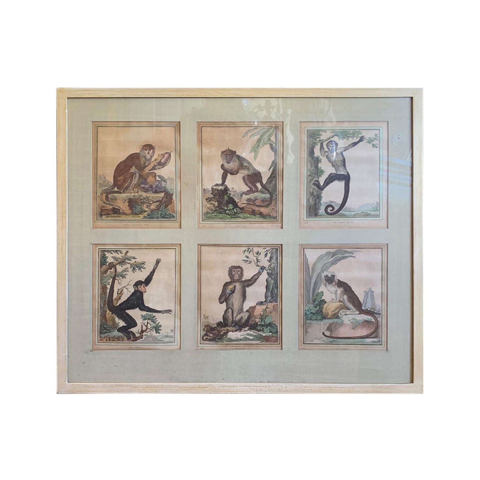 Framed 18th Century French Monkey Engravings by Georges-Louis Leclerc ...