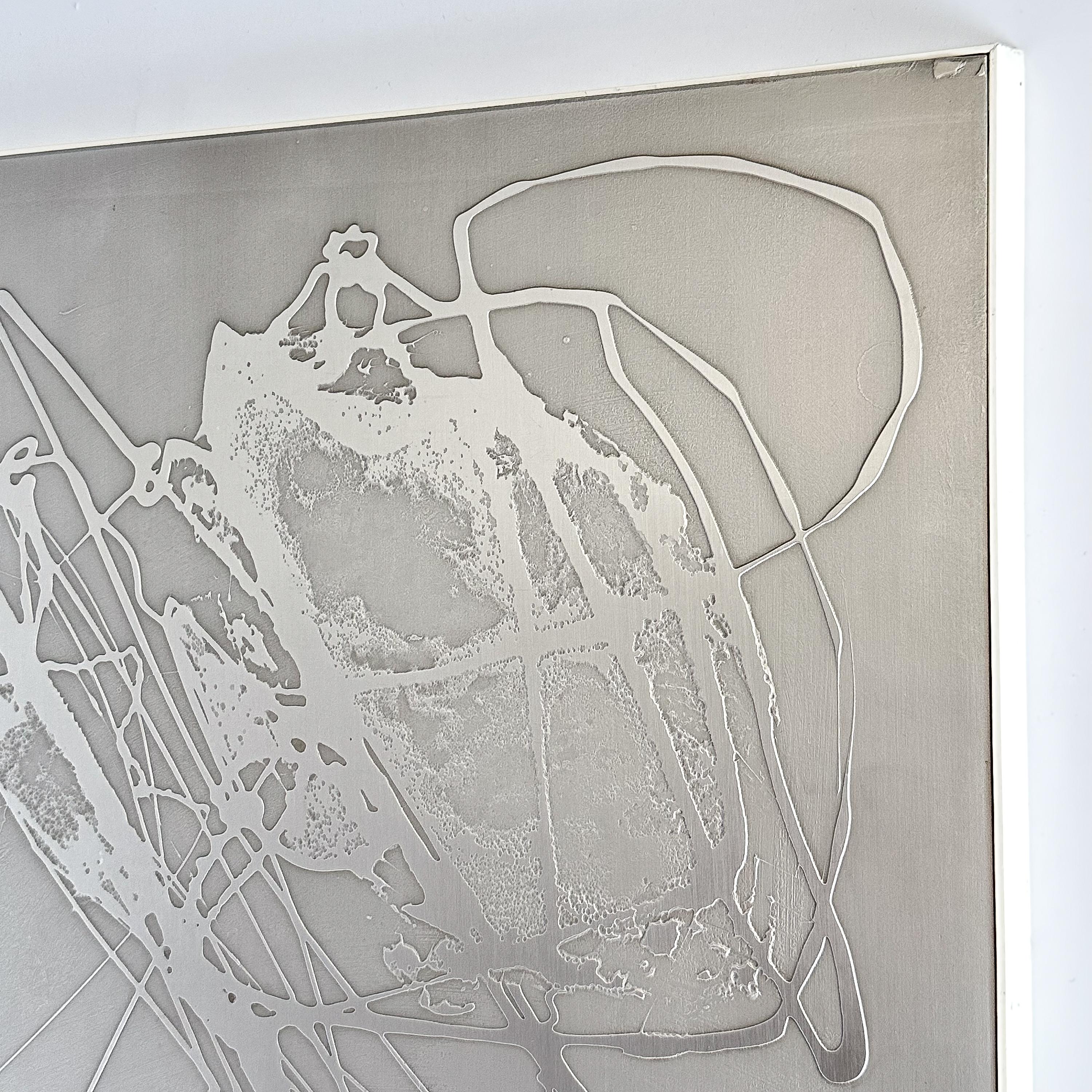 Framed Abstract Etched Aluminum Wall Art For Sale at 1stDibs